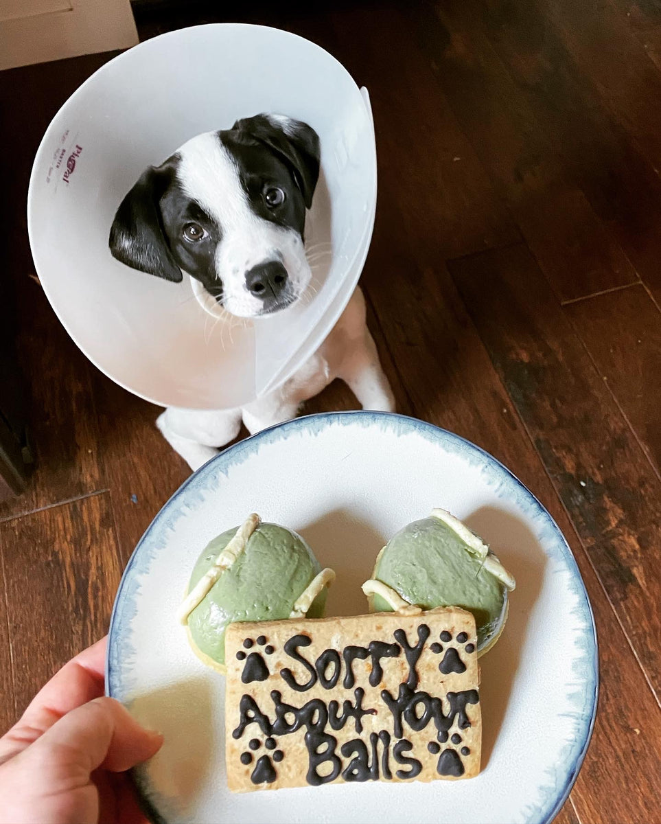 Neuter Cupcakes & Cookie Plaque – The Cakehound